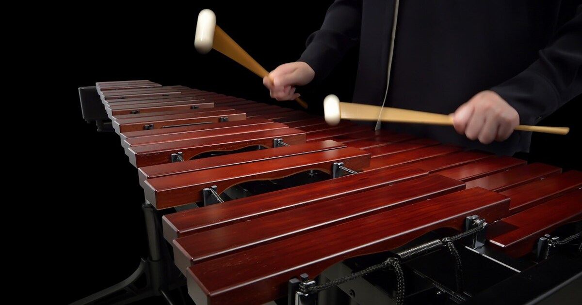 YX-2035PR - Téléchargements - Xylophones - Produits - Percussions d ...